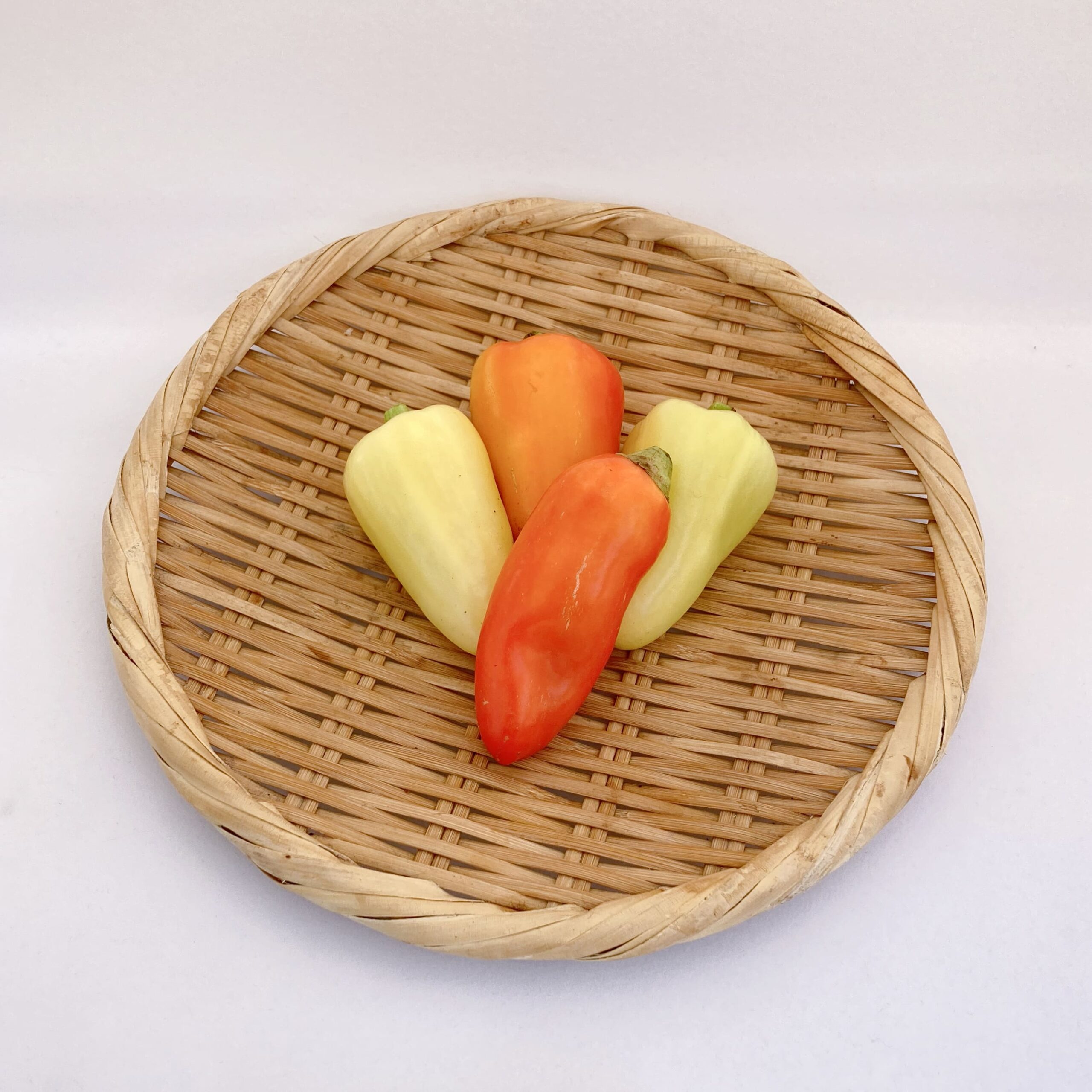 パドロン | 栽培品種 | 十色とうがらしファーム とうがらし専門農園